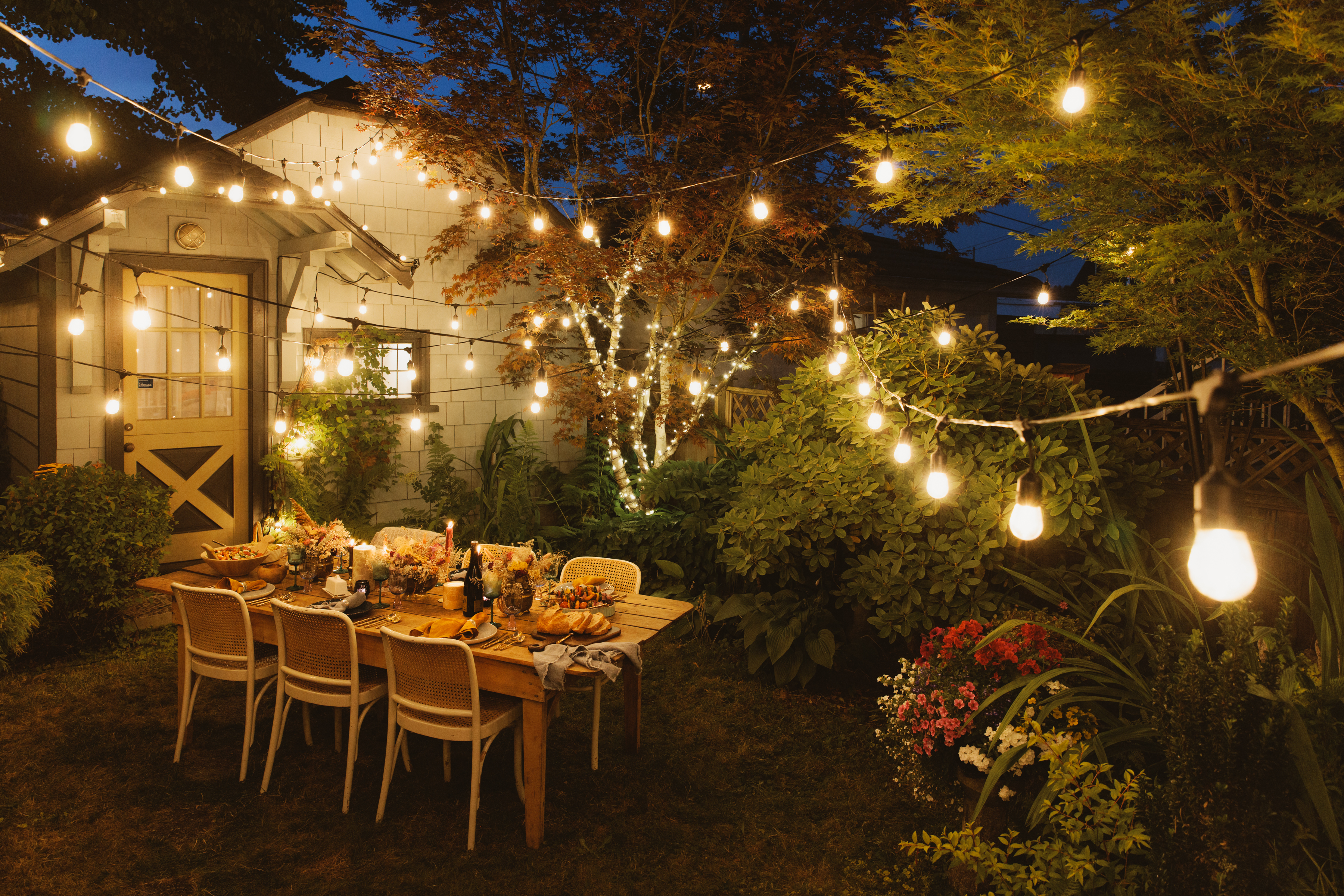 Special Event Lighting, Wedding Lights & Light Rental | FestiLight ...
